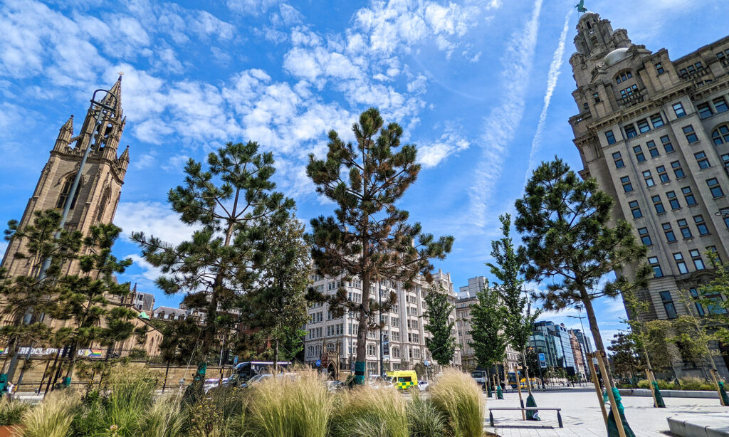 Face of Liverpool - BCA Landscape